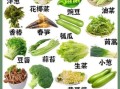 南方蔬菜有哪些_南方蔬菜名称大全
