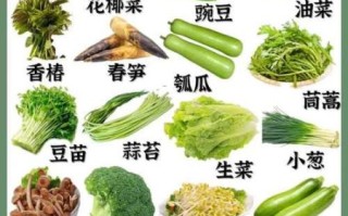 南方蔬菜有哪些_南方蔬菜名称大全