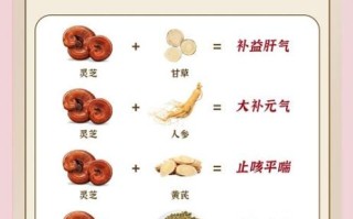 灵芝怎么吃效果最好_灵芝的正确吃法一天吃几次