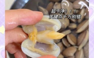 花甲吐沙要多久_花甲吐沙正确方法