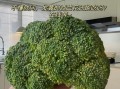 西兰花变黄掉籽还能吃吗_西兰花变黄掉籽如何处理