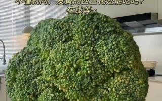 西兰花变黄掉籽还能吃吗_西兰花变黄掉籽如何处理