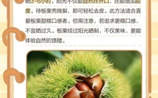 生栗子怎么剥皮_生栗子快速去皮方法