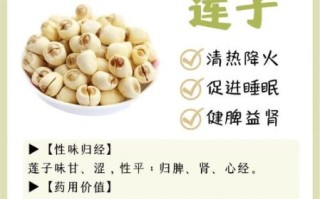 莲子汤的功效与作用_莲子汤适合什么人喝