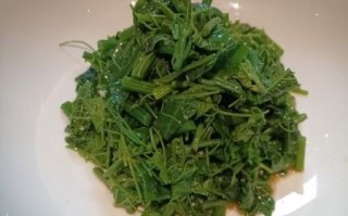 东北龙须菜图片_龙须菜怎么做好吃