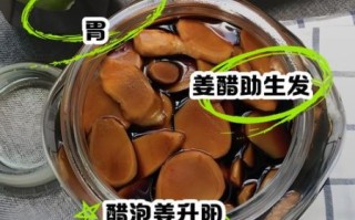 醋泡姜的功效与作用_醋泡姜的禁忌有哪些