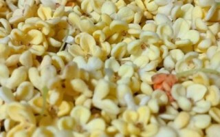 干桂花怎么制作_家庭自制干桂花方法