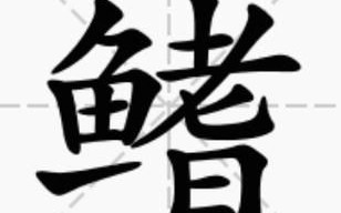 鳍怎么读_鳍的组词有哪些