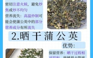 蒲公英怎么晒干_蒲公英晒干后怎么保存