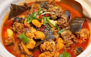 怎么炖甲鱼汤好喝_甲鱼汤去腥技巧