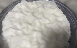 水烙馍怎么做_水烙馍和面比例是多少