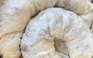 肉龙怎么做_正宗老北京肉龙做法