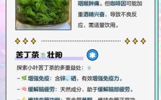 苦丁茶能提高性功能吗_男人喝苦丁茶多久见效