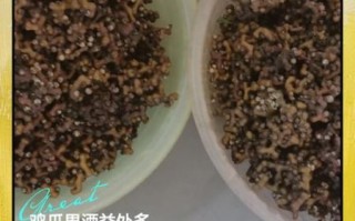 鸡爪果怎么吃_鸡爪果的功效与作用