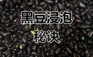 黑豆泡多久有毒_泡黑豆安全时间
