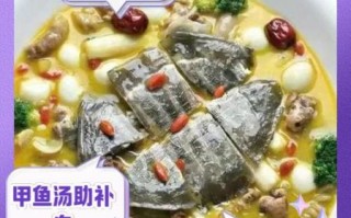 甲鱼汤的功效与作用_甲鱼汤怎么做最补