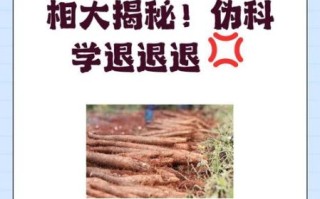 木瓜丰胸是真的吗_葛根丰胸效果怎么样