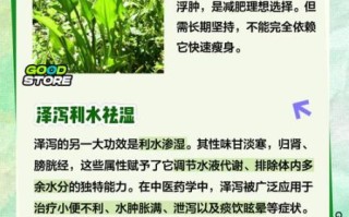 泽泻一天20克会伤肾吗_安全用量是多少