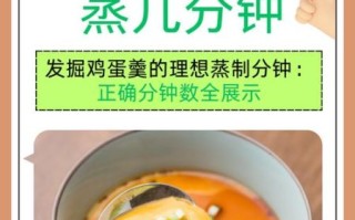鸡蛋羹蒸多长时间_鸡蛋羹的家常做法
