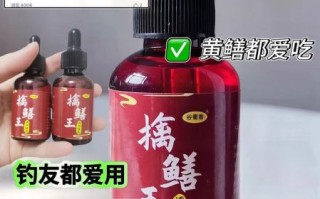 钓黄鳝用什么饵料_晚上几点最容易钓到