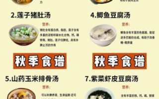 秋季养生菜谱大全_秋季养生菜谱做法窍门