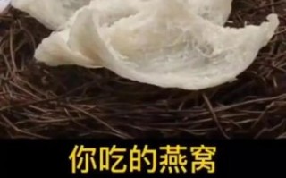 燕窝是燕子的窝吗_燕窝到底是什么做的
