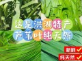 箬叶和芦苇叶哪个香_包粽子用哪种叶子更香