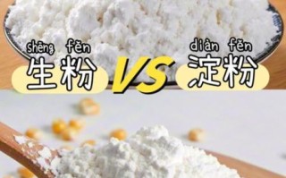 生粉是什么粉_生粉是淀粉吗