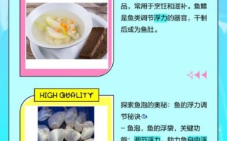 鱼肚和鱼泡的区别_哪个更营养