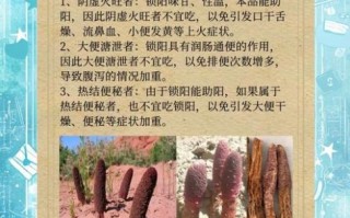 锁阳的功效与作用有哪些_锁阳主治什么病