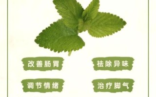 香茅草洗头有什么功效_香茅草洗头能防脱发吗