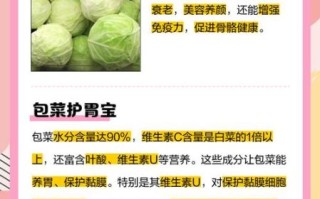 包菜的营养价值_包菜可以减肥吗