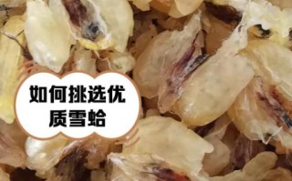 雪蛤的功效与副作用_雪蛤适合什么人吃