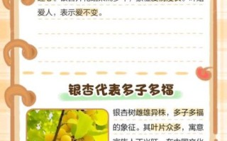 银杏叶寓意是什么_银杏叶象征爱情吗