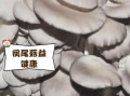 凤尾菇煮几分钟熟_凤尾菇煮多久才安全可吃