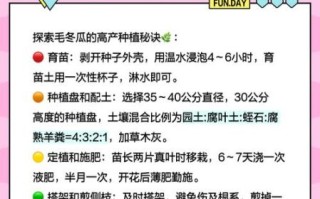 毛瓜怎么做好吃_毛瓜和冬瓜的区别