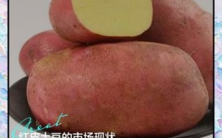 红皮土豆为什么没人吃_红皮土豆口感差吗