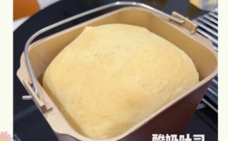 面包机做酸奶步骤_面包机酸奶失败原因