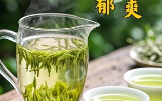 杭州西湖龙井茶多少钱一斤_正宗明前龙井价格