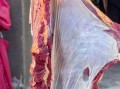 黄牛肉价格多少钱一斤_黄牛肉价格走势
