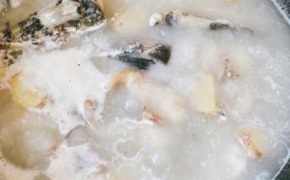 黑鱼汤的功效与作用禁忌_黑鱼汤什么人不能喝