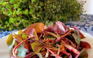 鱼腥草怎么凉拌_鱼腥草凉拌要焯水吗