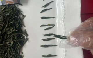 崂山绿茶多少钱一斤_崂山绿茶怎么泡才正宗