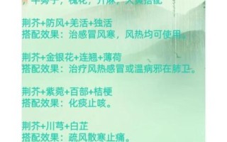 荆芥的功效与作用_荆芥的禁忌有哪些