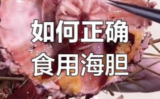 海胆怎么吃才安全_海胆怎么开壳取肉