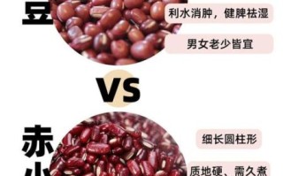 赤豆和红豆的区别_赤豆与红豆哪个补血