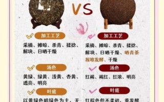 普洱茶生茶和熟茶哪个好_生茶熟茶区别与选择