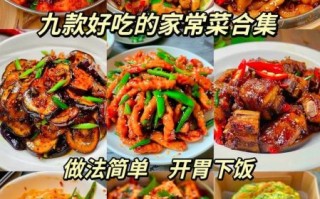家常菜做法大全下载_如何快速学会做菜
