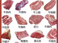 肥牛是牛的哪个部位_肥牛片用牛哪块肉最好