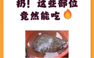 甲鱼内脏哪些不能吃_怎么处理最安全